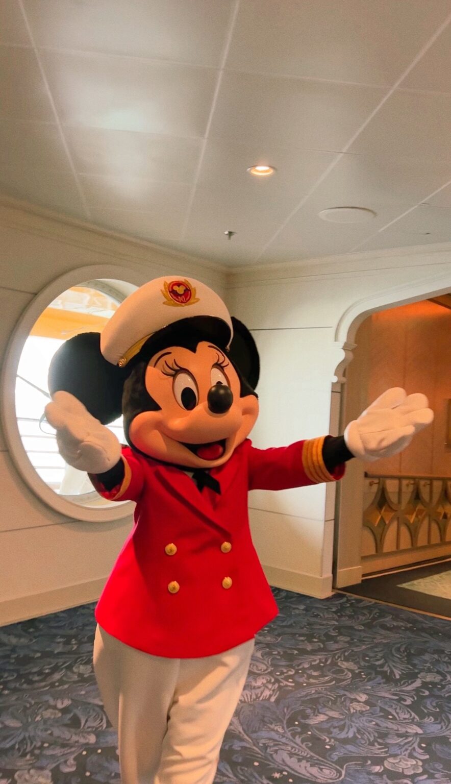 Disney Cruise Packing List Everyone Needs + Free Printable Checklist ...